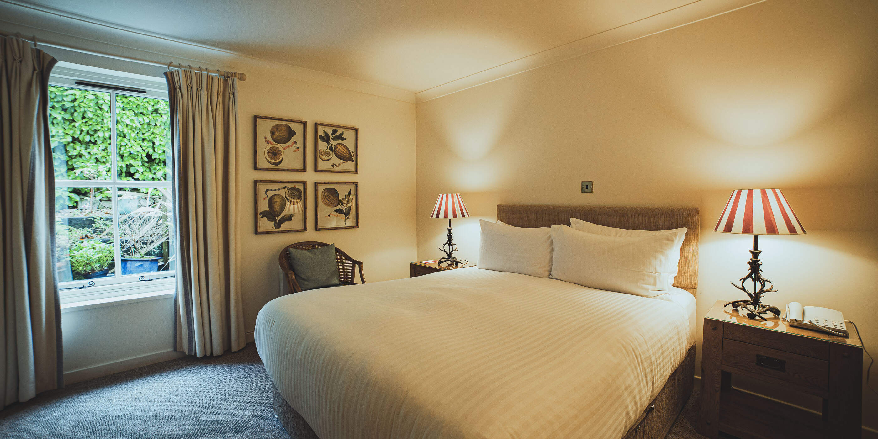 Dog Friendly Hotel Rooms in Argyll | The Pierhouse Hotel