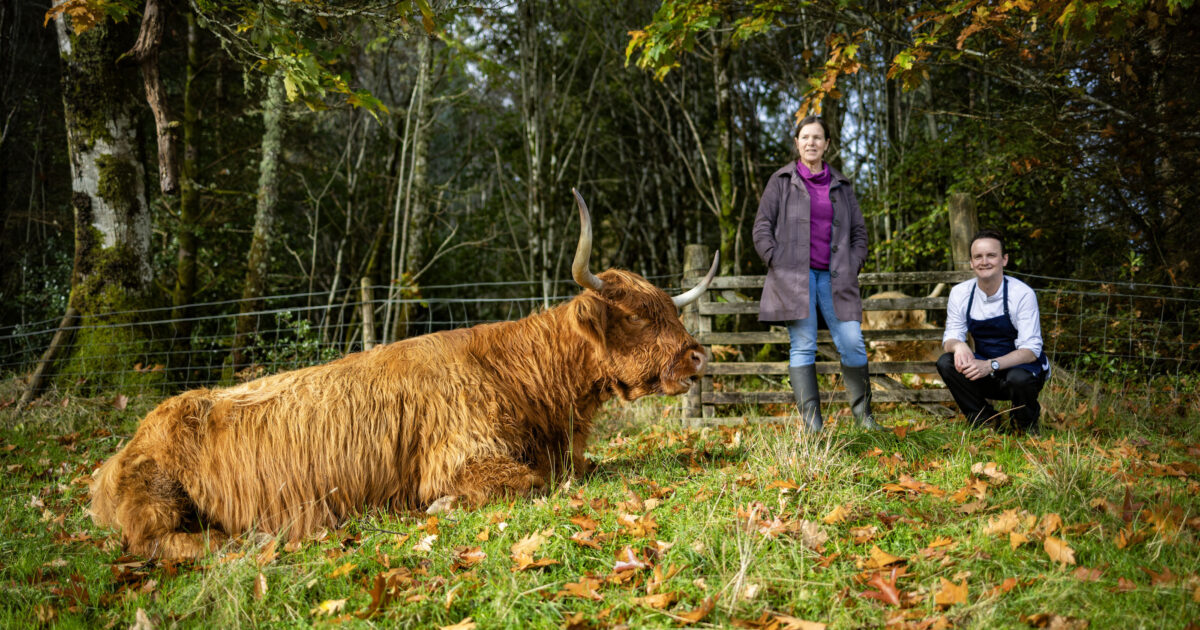 Highland Fold Ice Cream | The Pierhouse Hotel